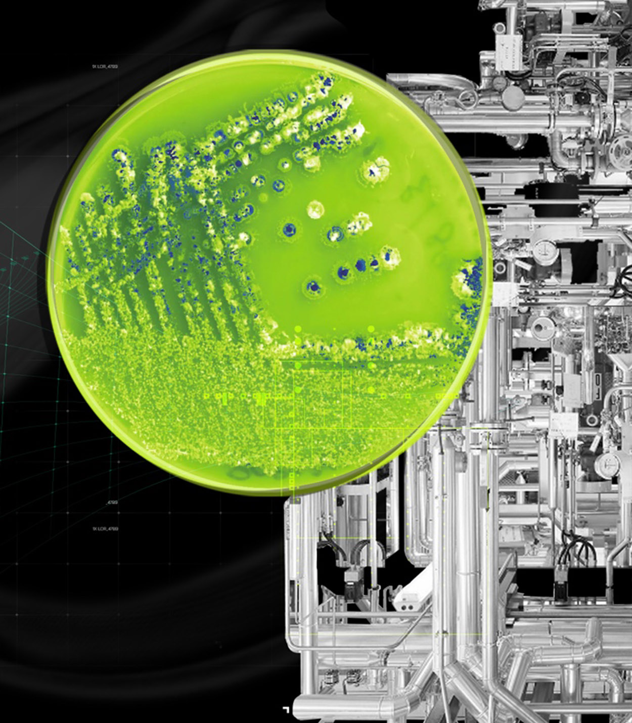 Indena | Science is our Nature