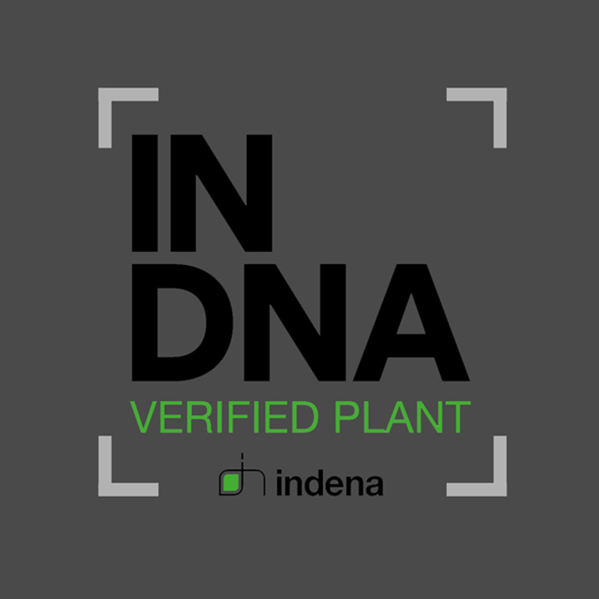 Indena | Quality System