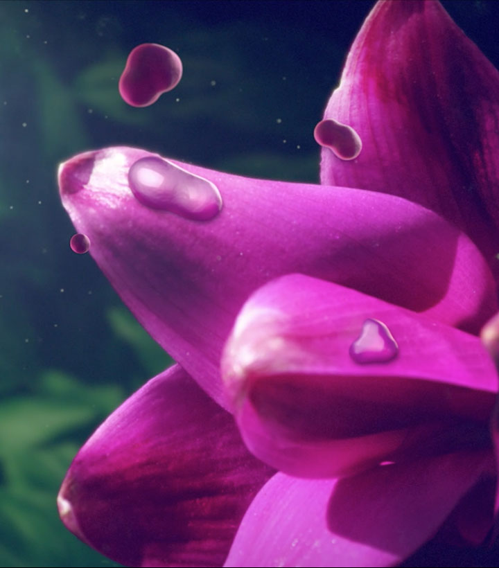 Indena | Indena Phytosome