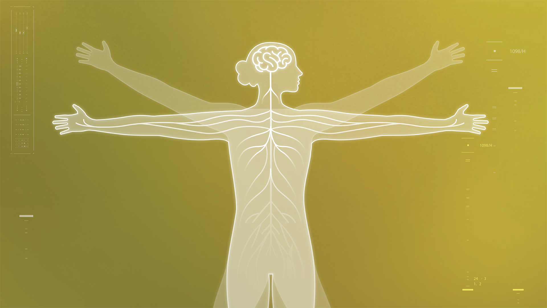 Indena | Brain Health Feed your mind, fill your life.